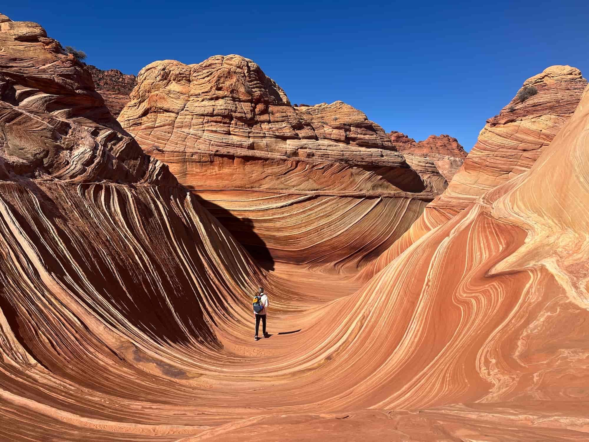 The Ultimate Guide To Hiking The Wave Arizona Plus Getting The Wave The Ultimate Guide To Hiking The Wave Arizona Plus Getting The Wave