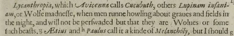 Chagigah 3b ~ Werewolves, Lycanthropy, and Mental Illness — Talmudology
