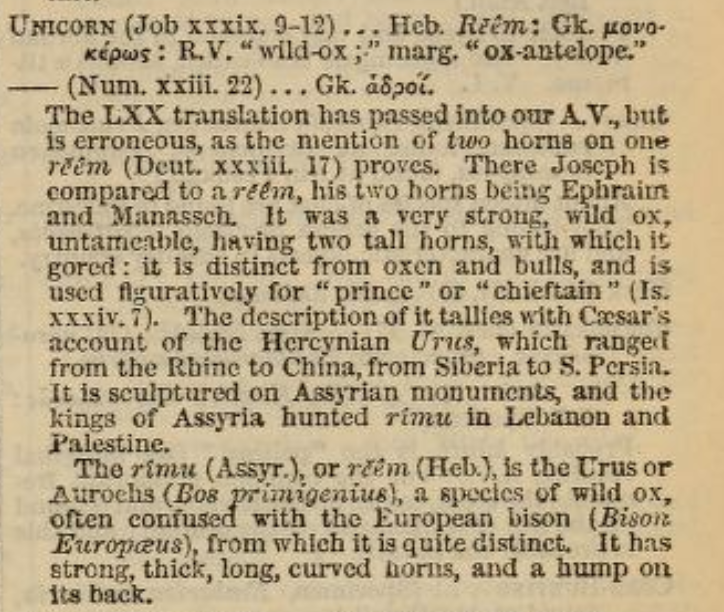 Zevachim 113b ~ On the Identity of the Re'em — Talmudology