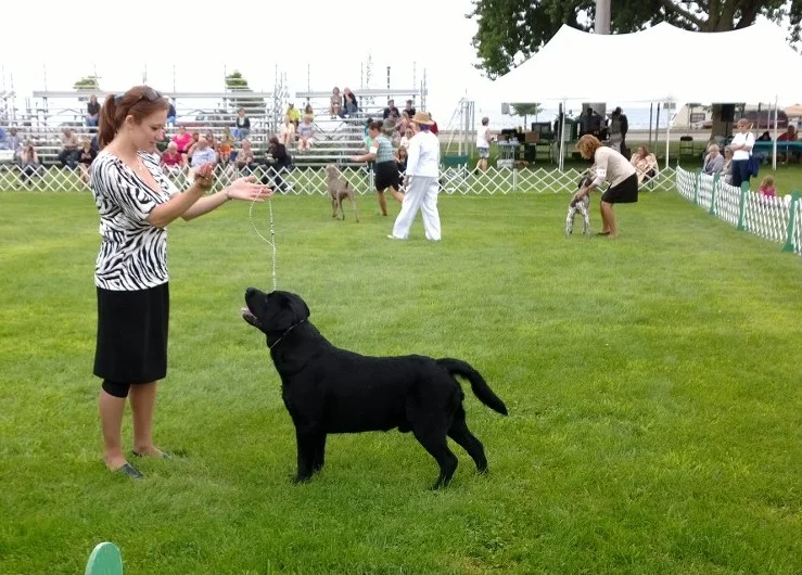 The Greater Racine Kennel Club-Trials & Shows
