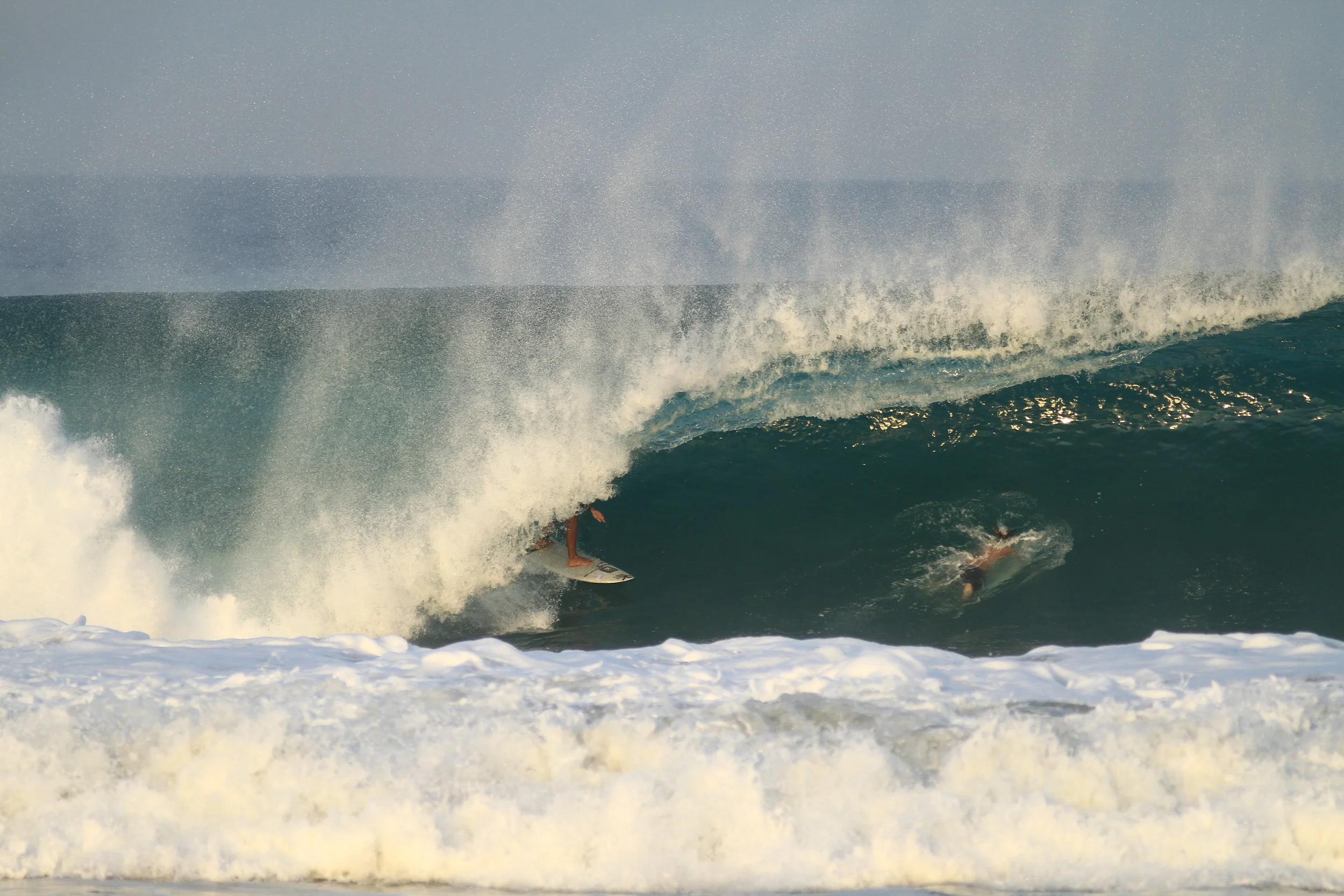 Pickle — Odyboards Surf Shop & Factory