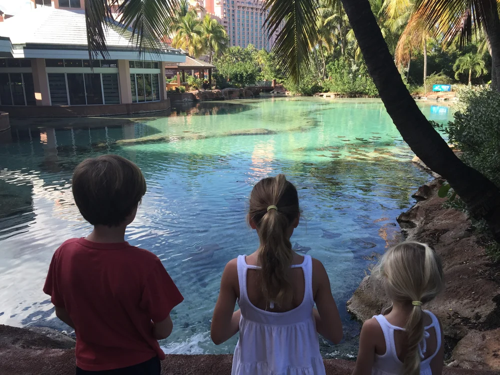 Caribbean Cruise onboard the Celebrity Constellation — Kendra Thornton ...