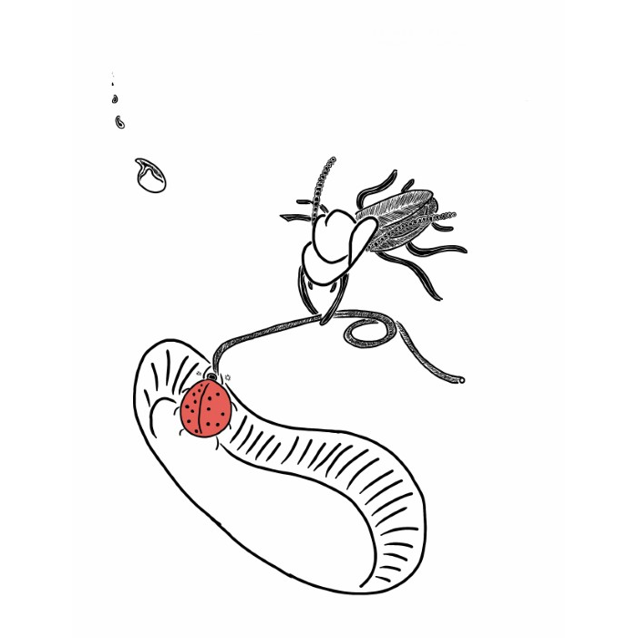 Cowboy Cockroach Rescues Inebriated Ladybug Trapped In Snowy Footprint ...