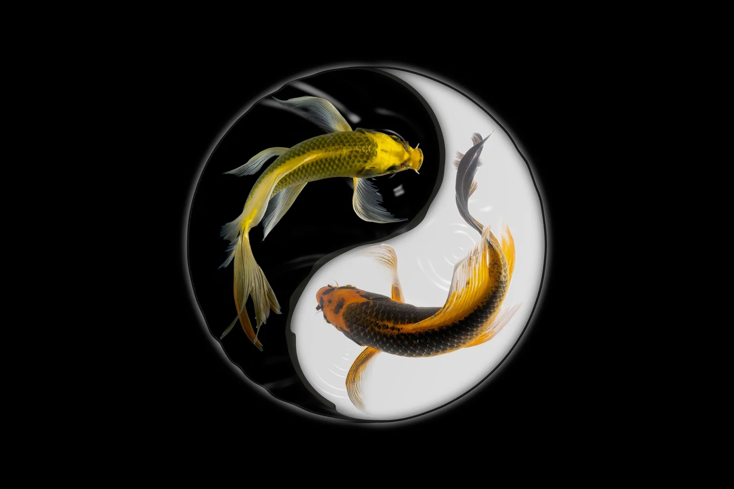 Episode 173: Popular Feng Shui Symbols — Holistic Spaces