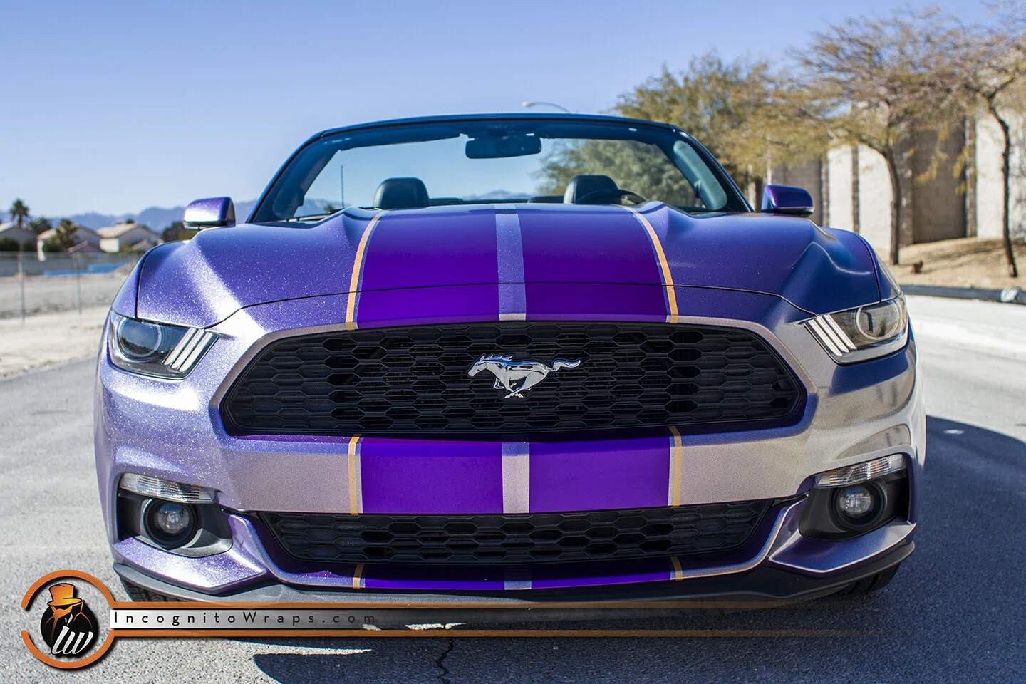 Dark Purple Mustang