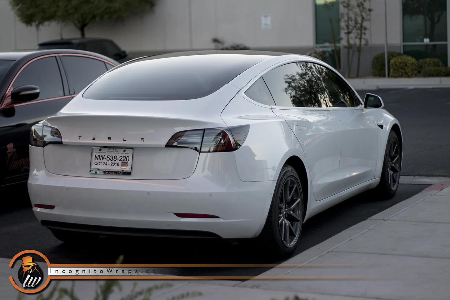 Tesla Model S Pearl White Vs White