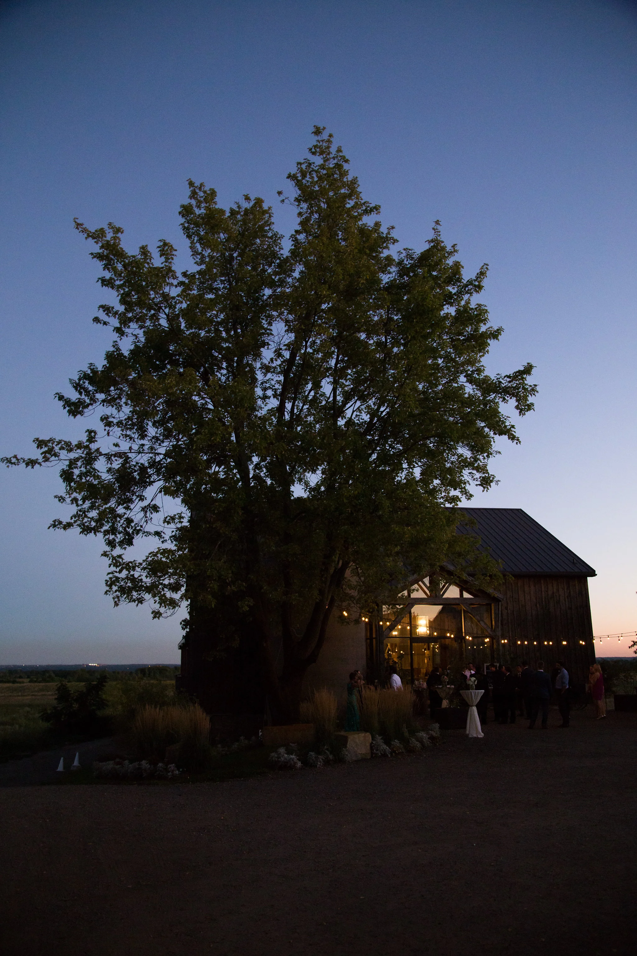 Earth To Table Farm Wedding, Hamilton | Nicole & Antony — KJ and Co ...