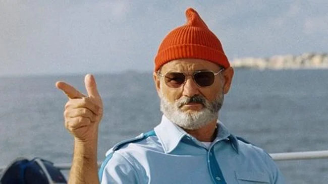 Bill Murray Life Aquatic Costume
