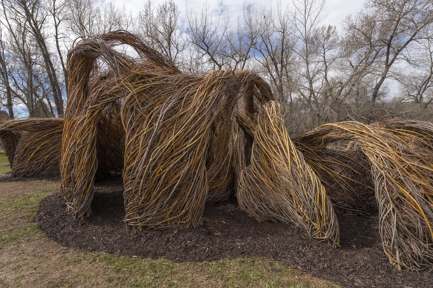 04 2019 One Fell Swoop Denver Botanic Garden Chatfield Farms 04 2019 One Fell Swoop Denver Botanic Garden Chatfield Farms