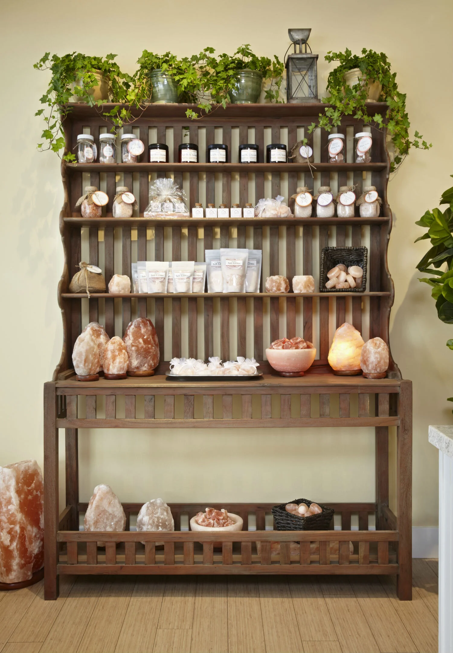 Salt Cave — Presidio Neighborhood