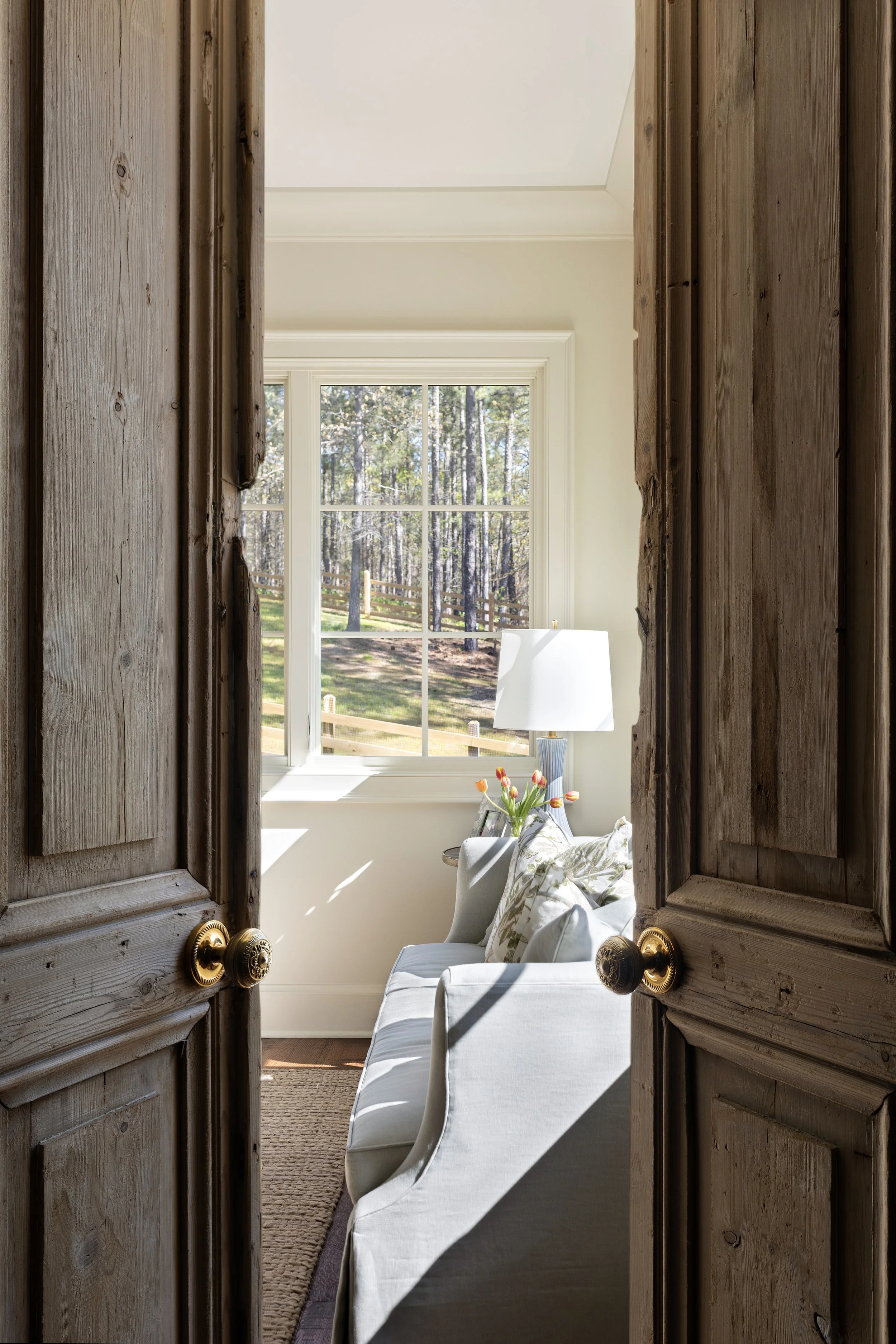 Project Spotlight: Equine Mountain — Sarah Catherine Design