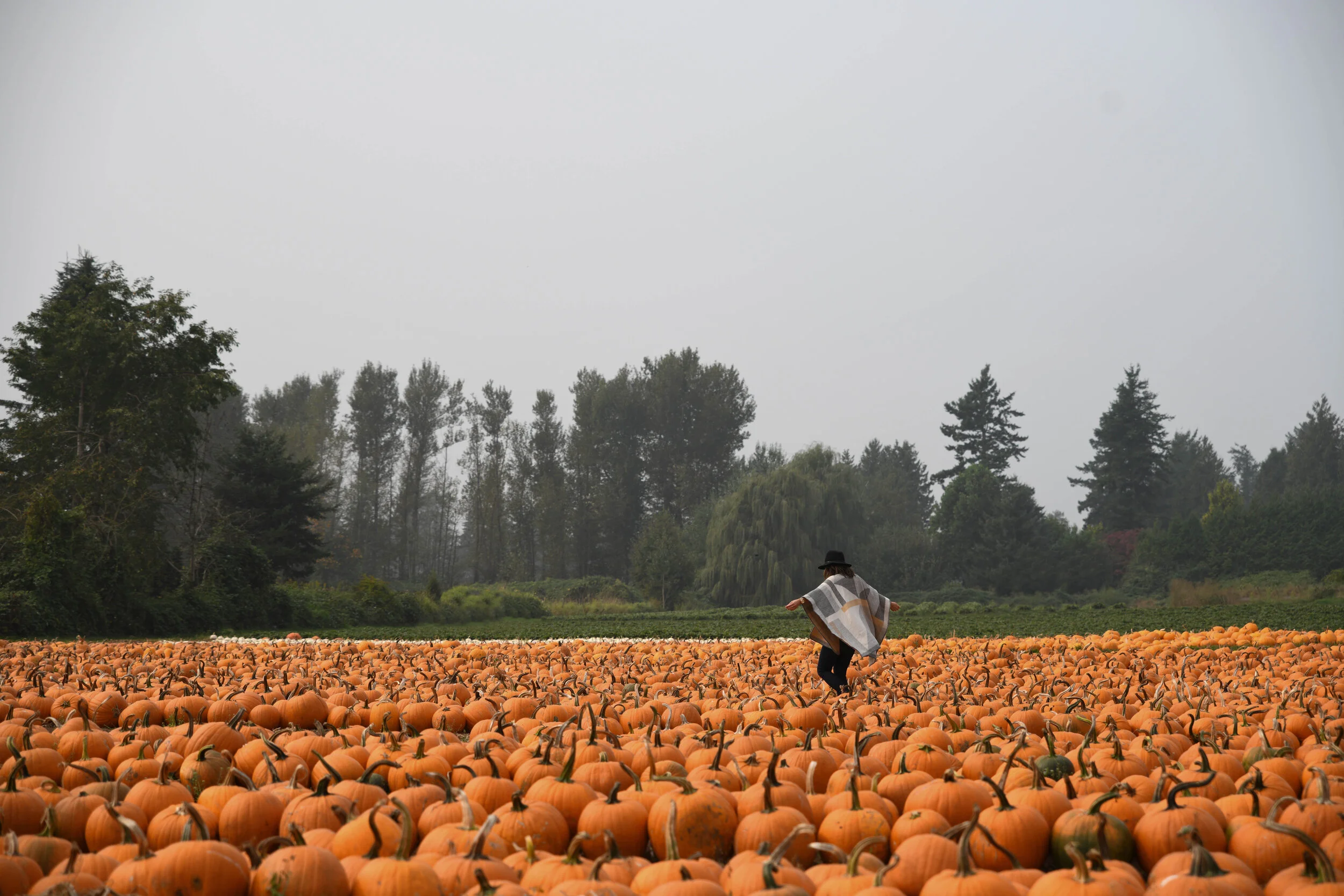 A Fall Visit to the Fraser Valley in British Columbia — The Vancouverite