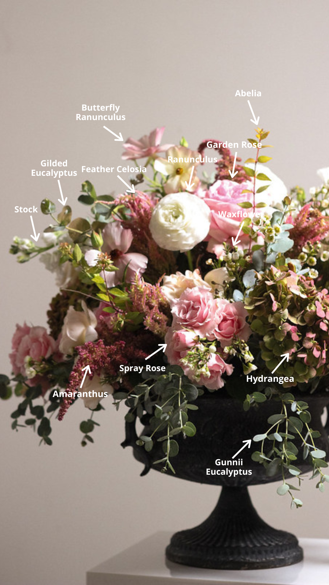 What's In It? — Rose of Sharon Floral Design Studio