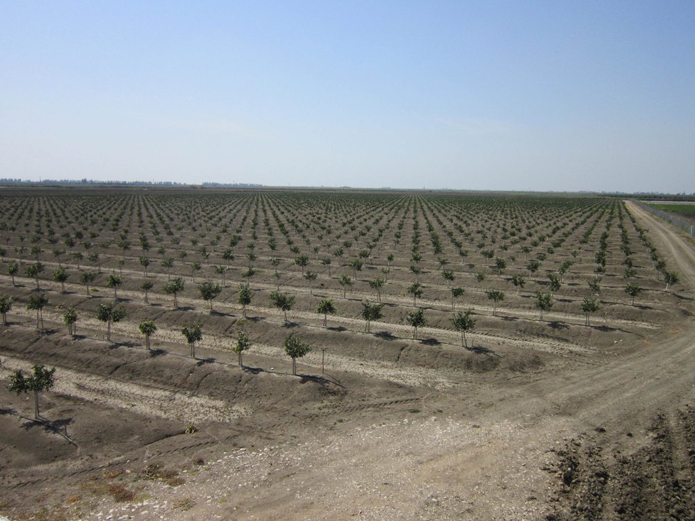 Soils, Land, and their Use — Bilingual Soil Scientist | Plant & Crop ...