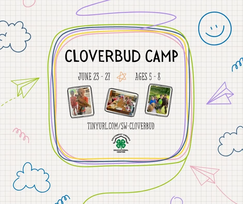 Southwest Virginia 4-H Educational Center - Store