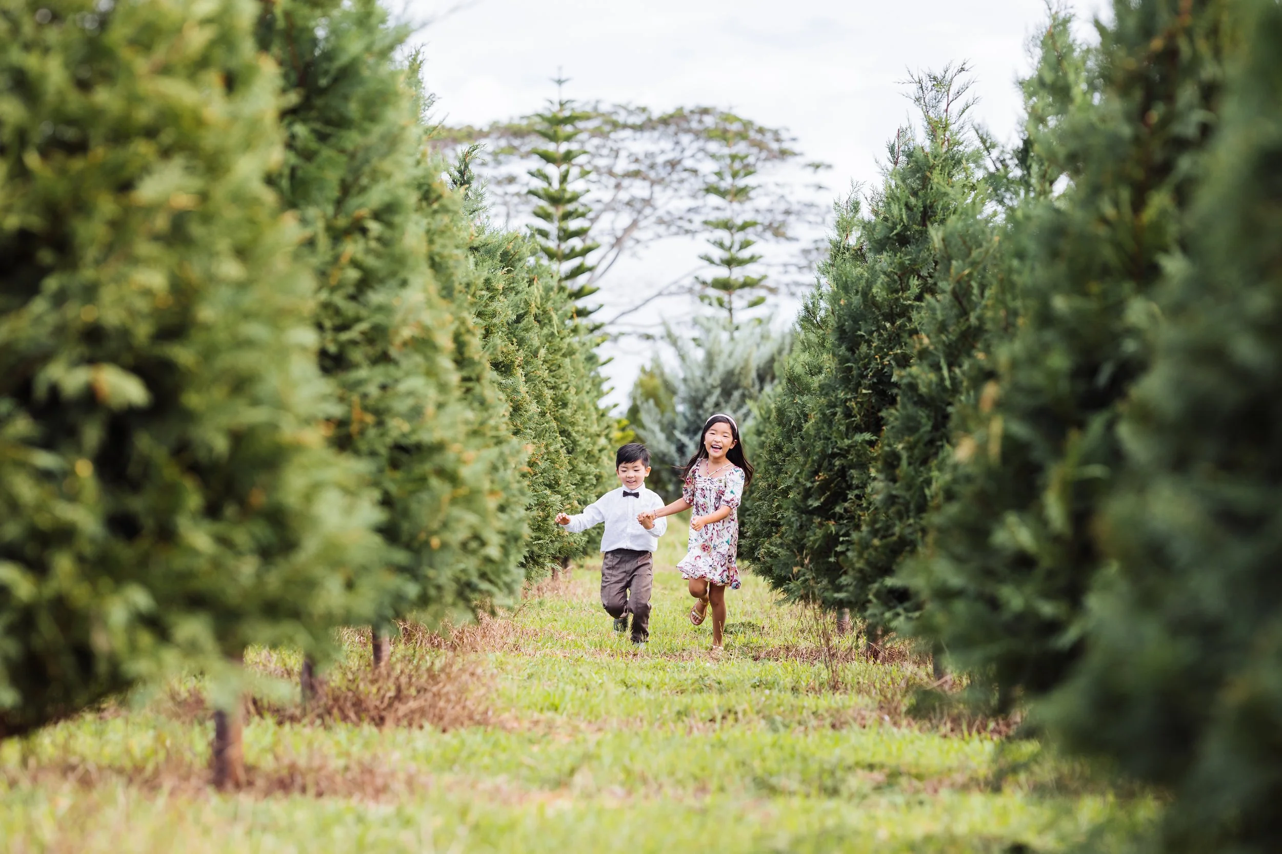 Nikki Jennifer Photography