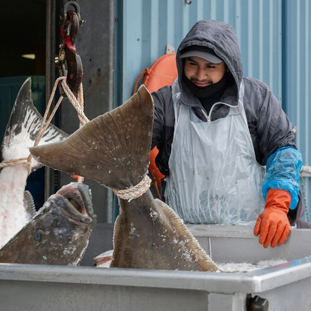 Our Work — Alaska Sustainable Fisheries Trust