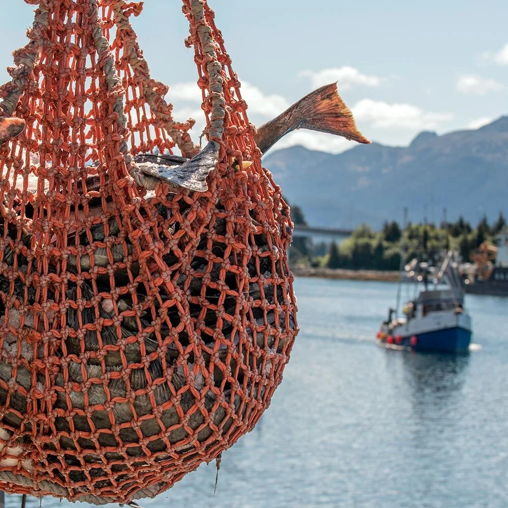 Our Work — Alaska Sustainable Fisheries Trust