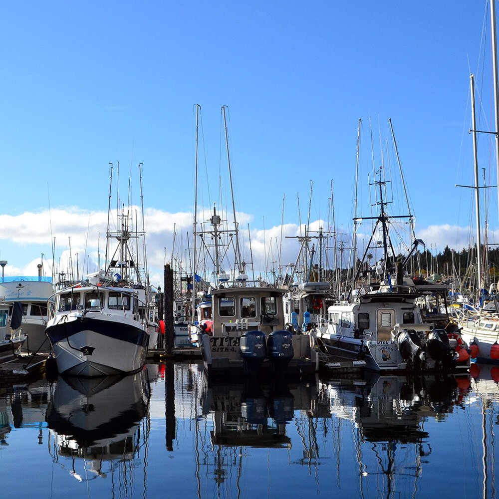 Local Fish Fund — Alaska Sustainable Fisheries Trust