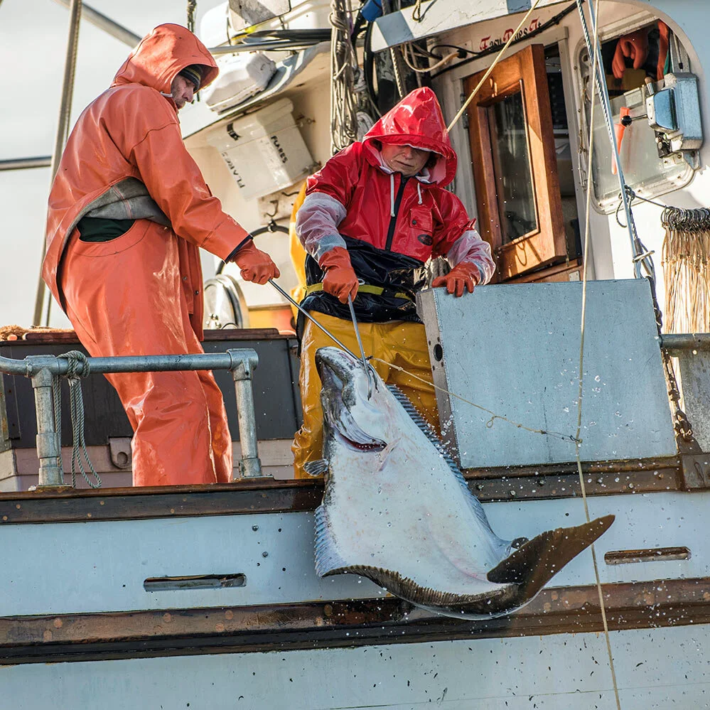 Local Fish Quota Bank — Alaska Sustainable Fisheries Trust