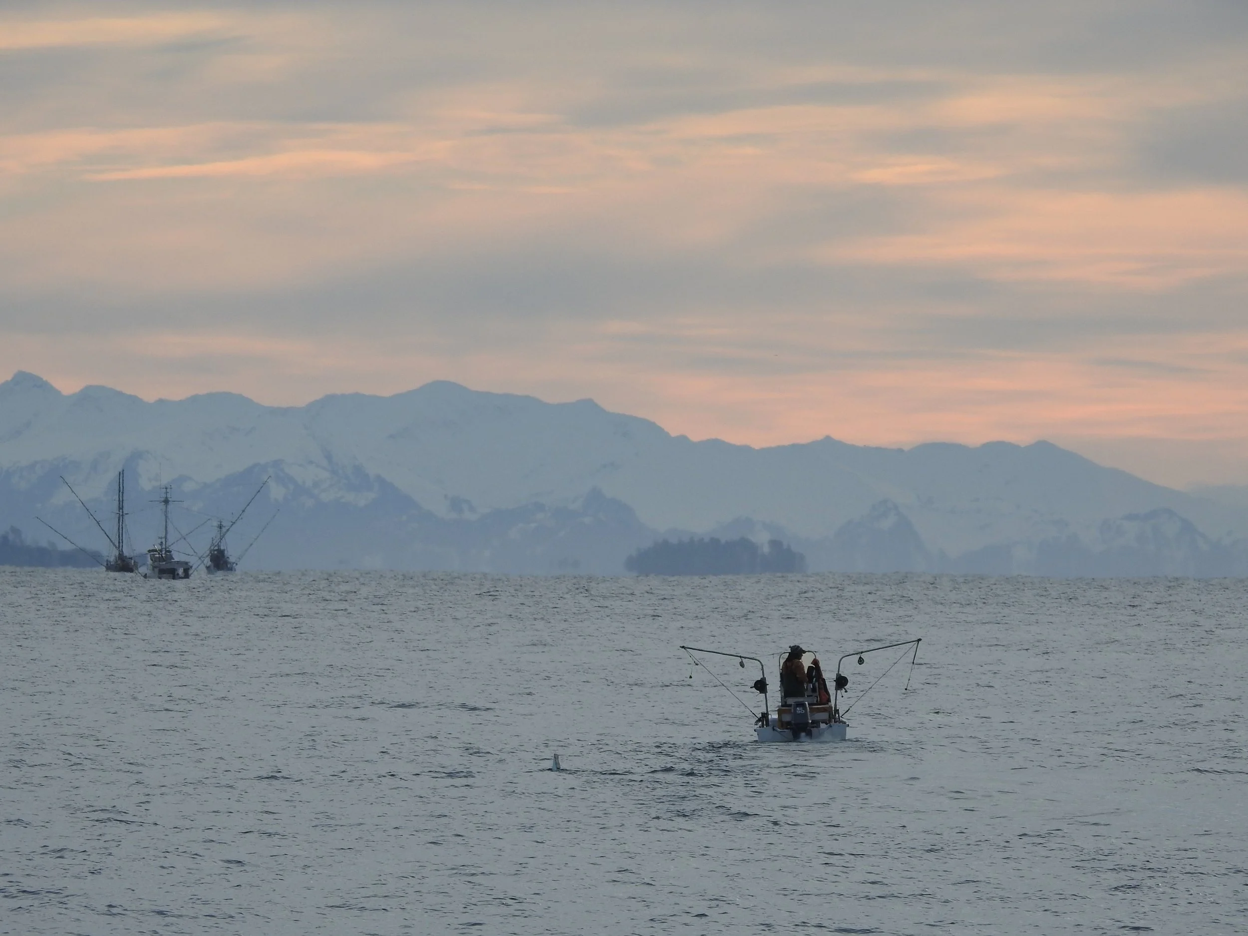 Alaska Sustainable Fisheries Trust