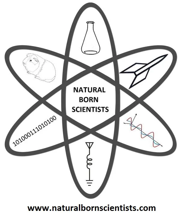 Where Does Vinegar Come From? — Natural Born Scientists ®, LLC