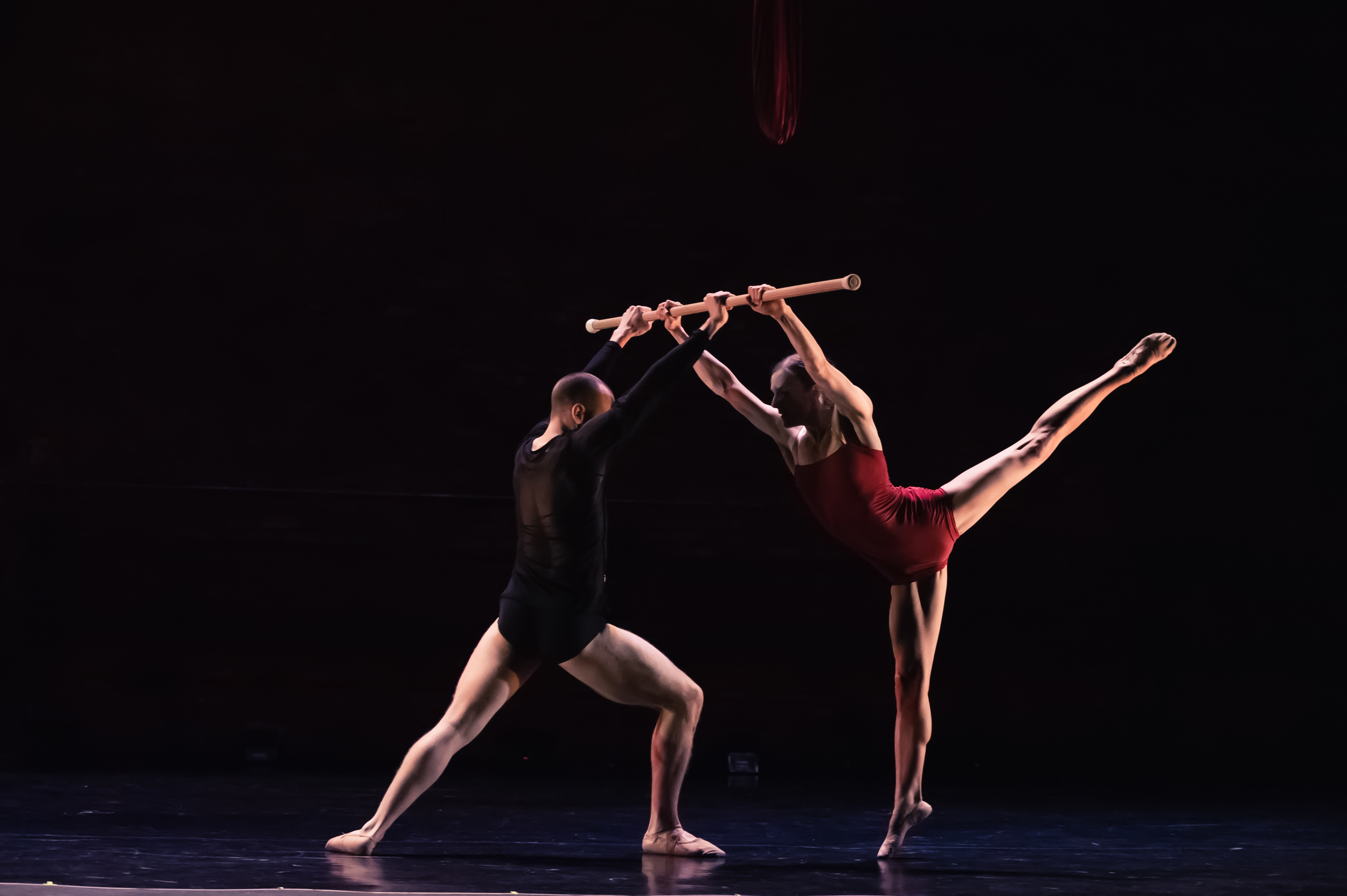 AYA — Aerial Dance Chicago