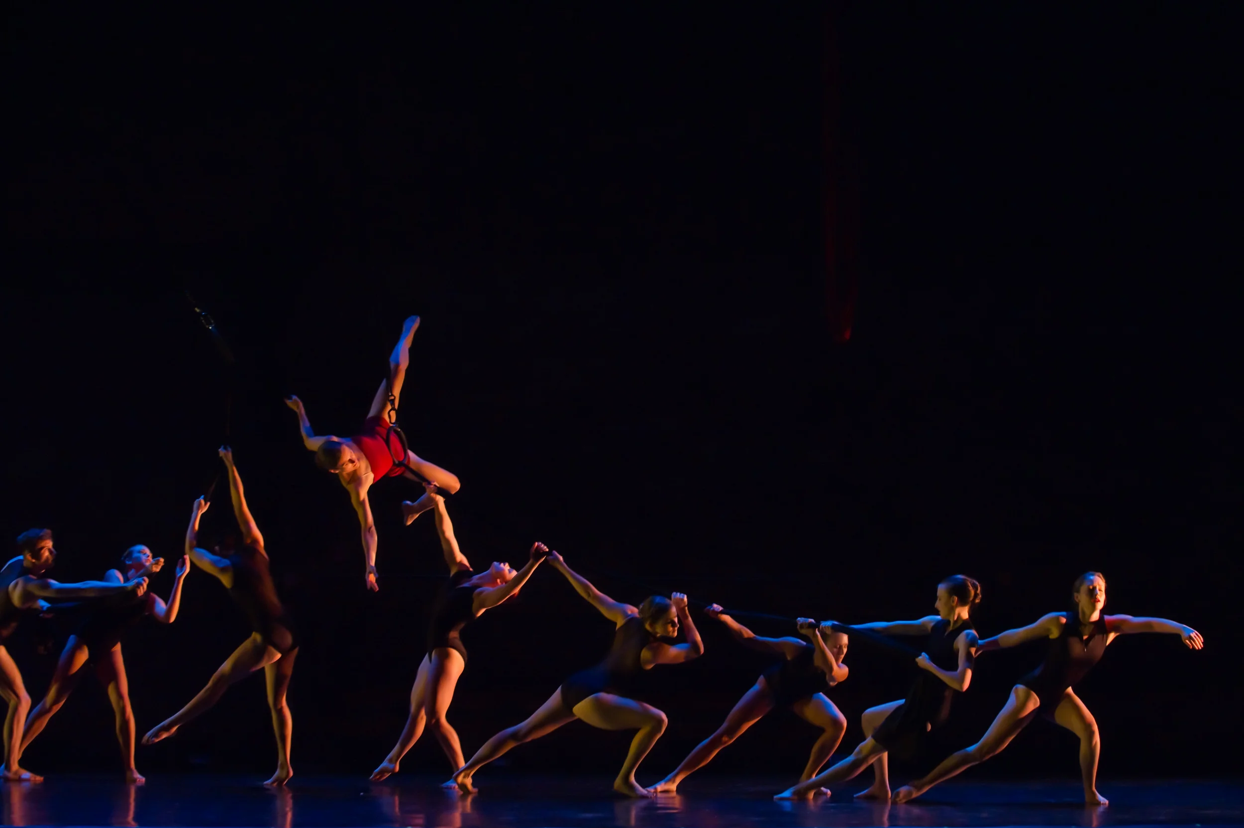 AYA — Aerial Dance Chicago