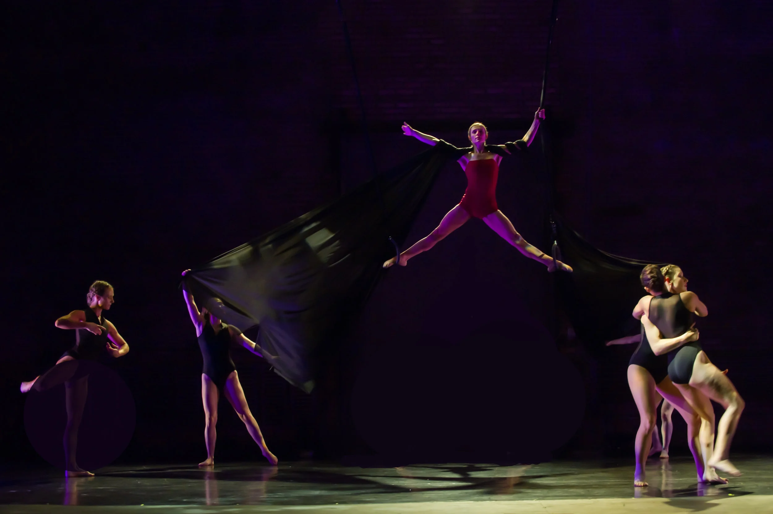 AYA — Aerial Dance Chicago