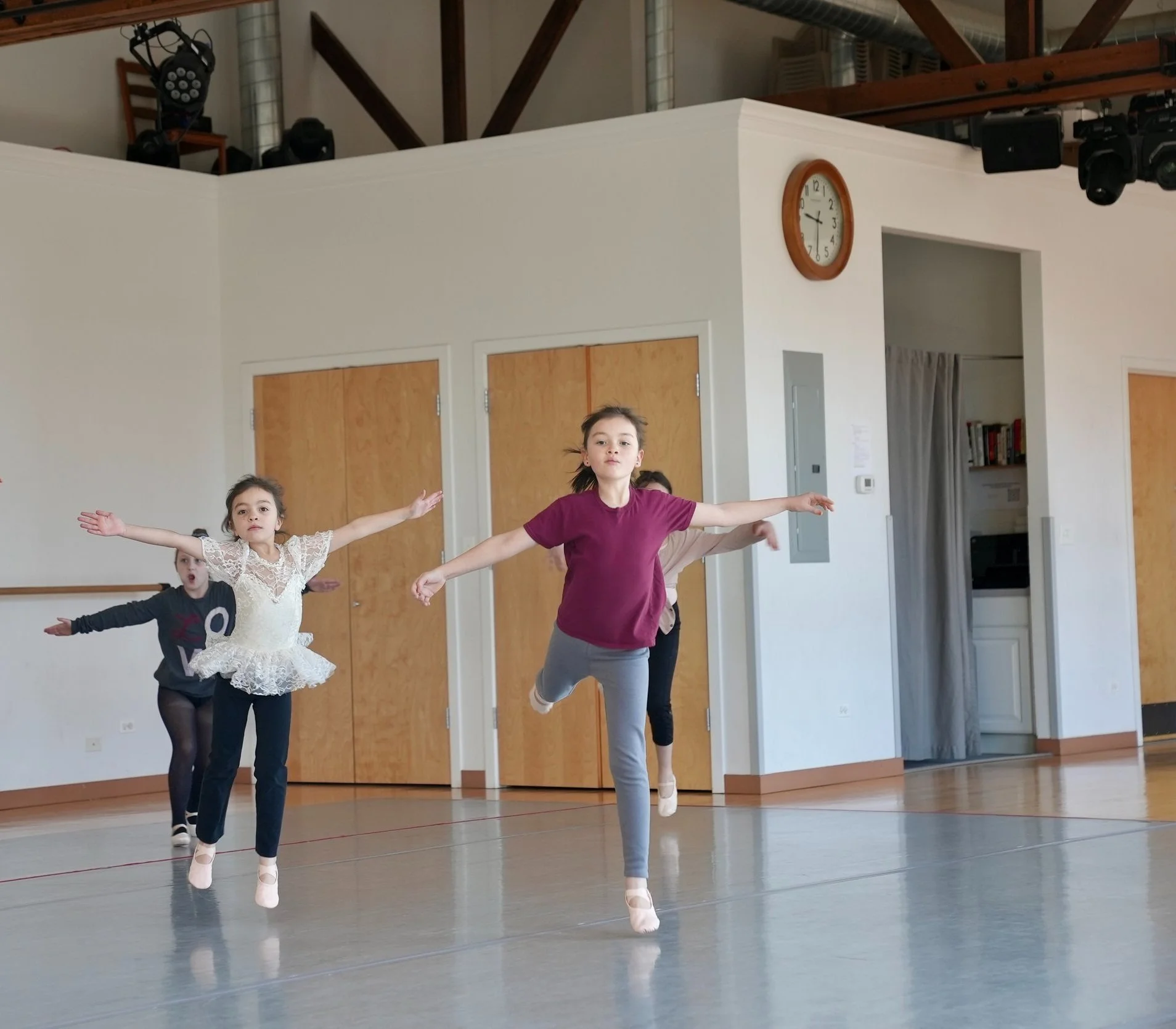 Aerial Dance Chicago