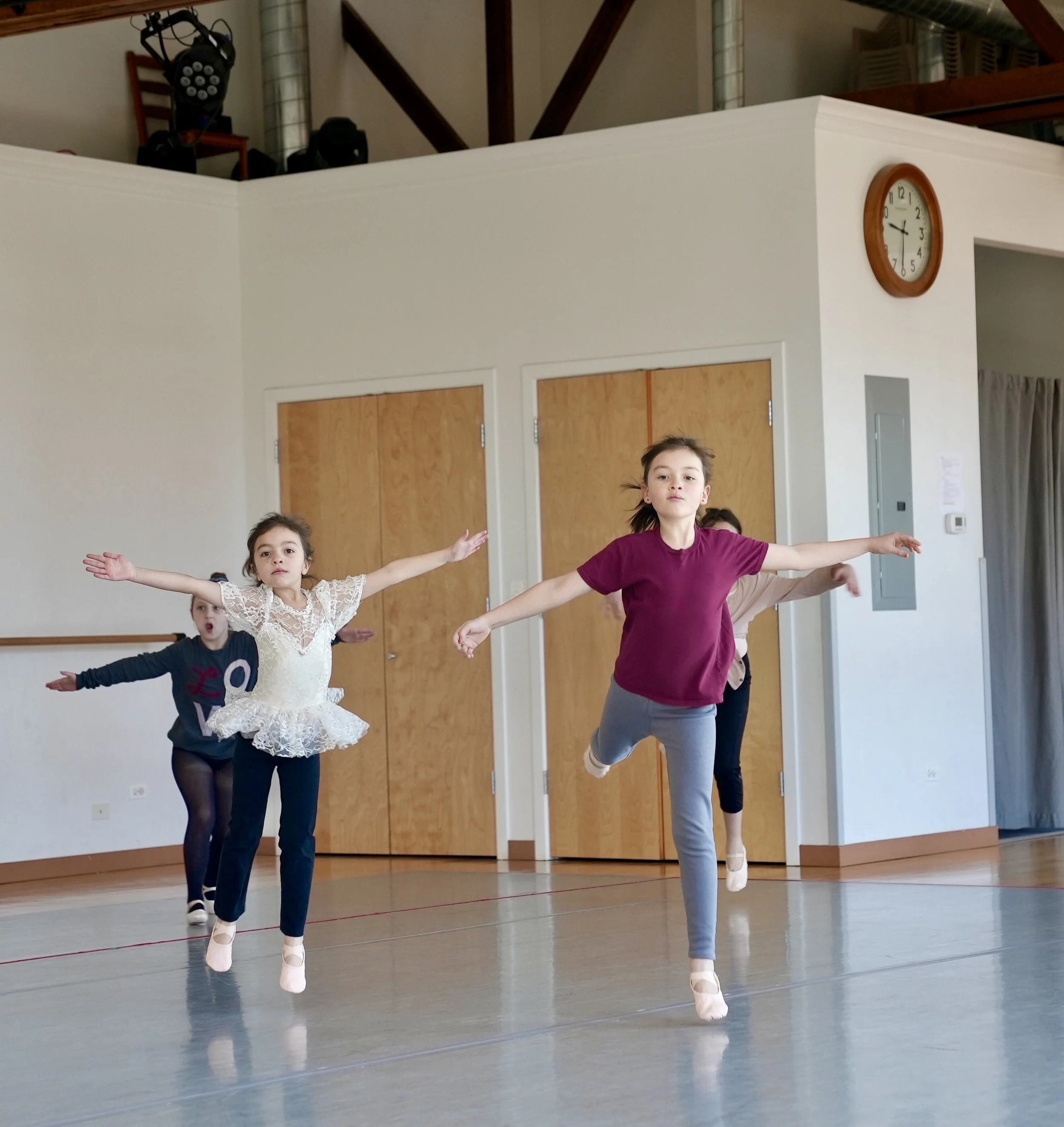 Beginning Ballet — Aerial Dance Chicago
