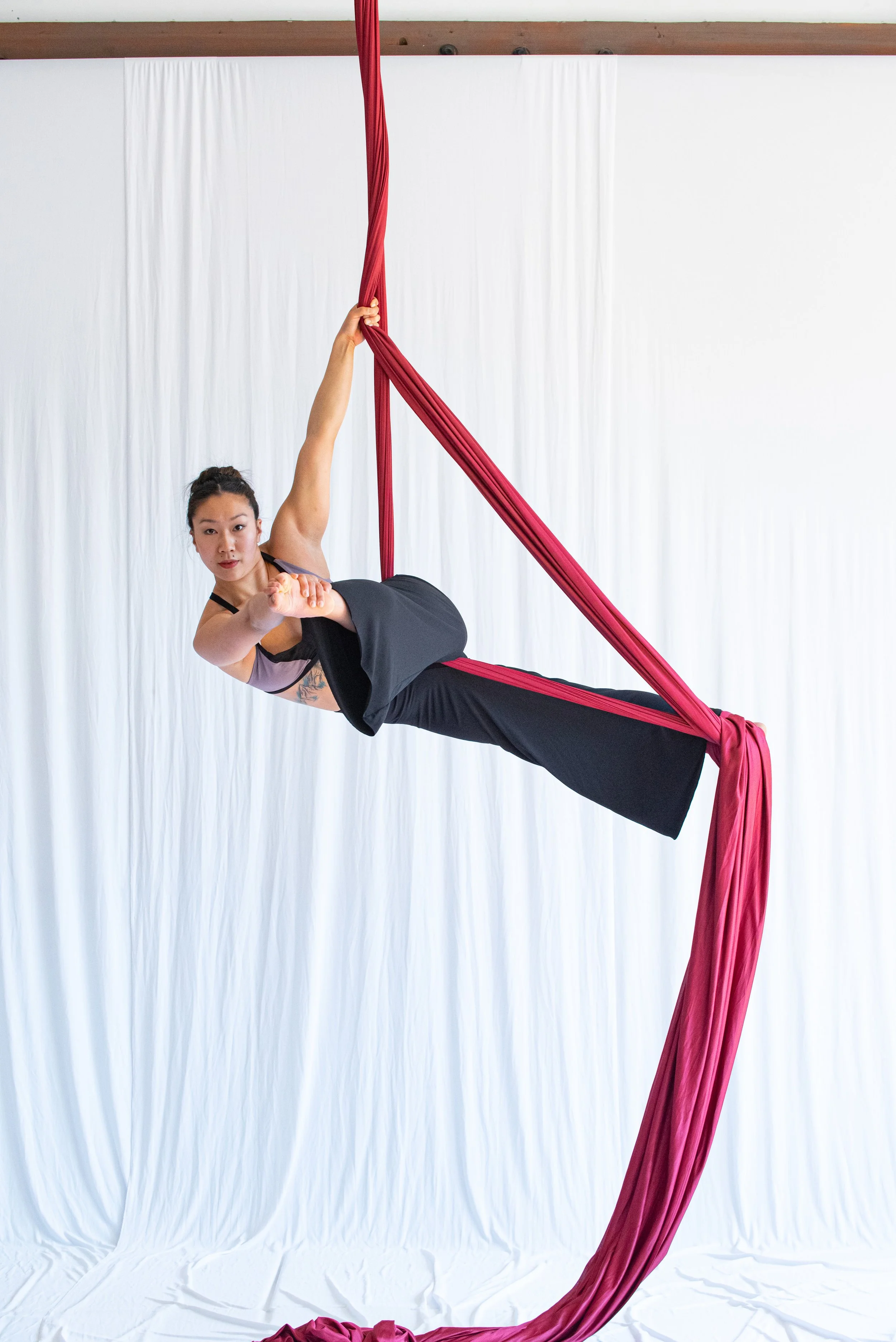 Meet the Dancers — Aerial Dance Chicago