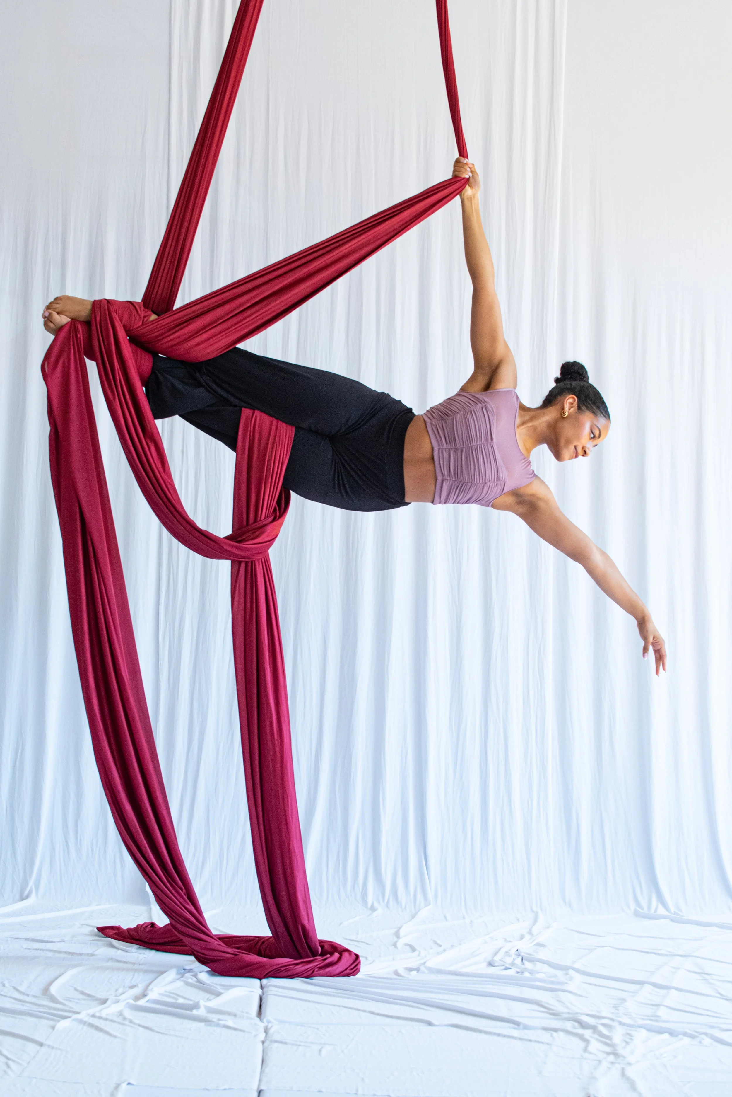 Meet the Dancers — Aerial Dance Chicago