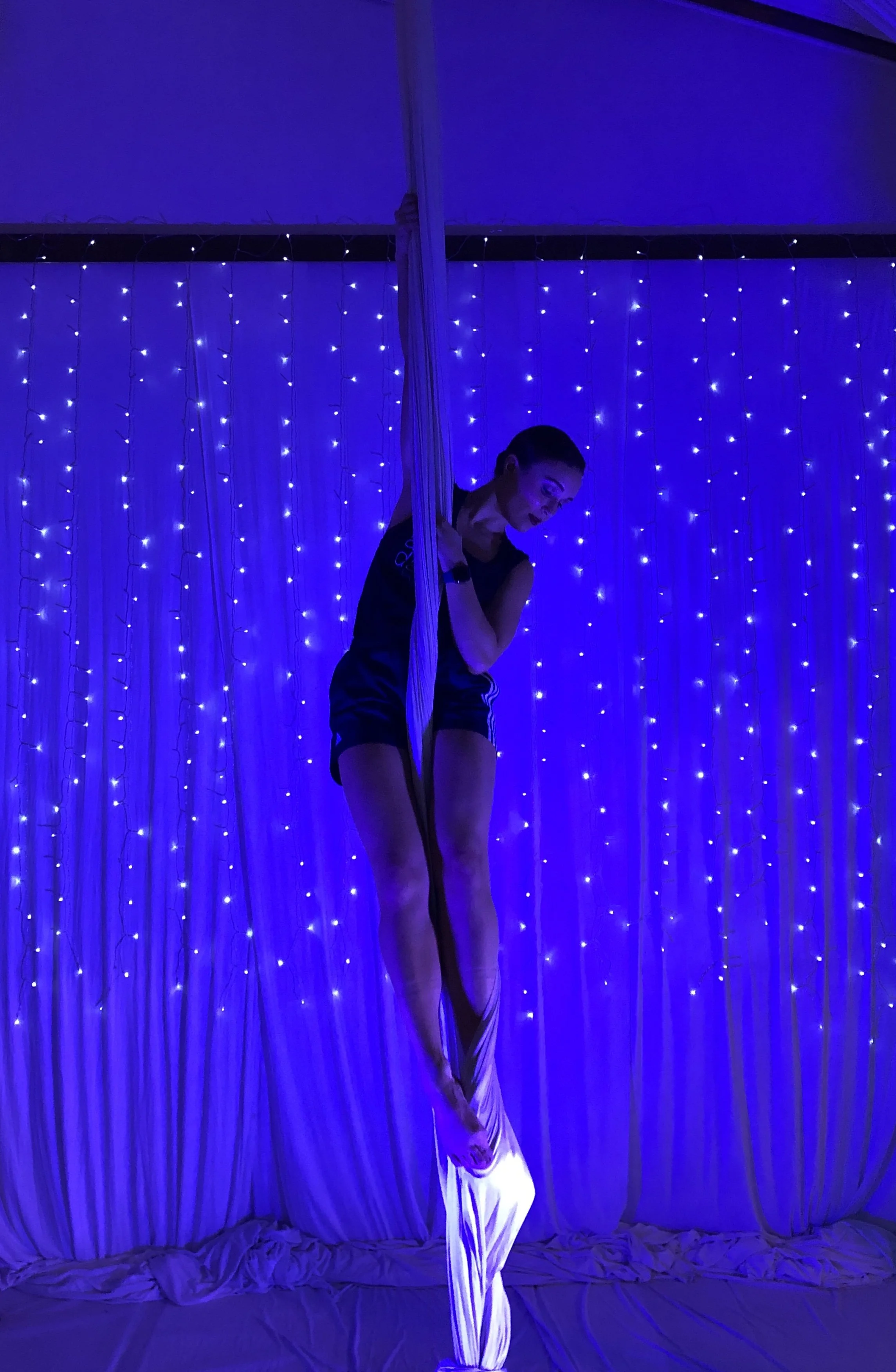 Aerial Dance Chicago