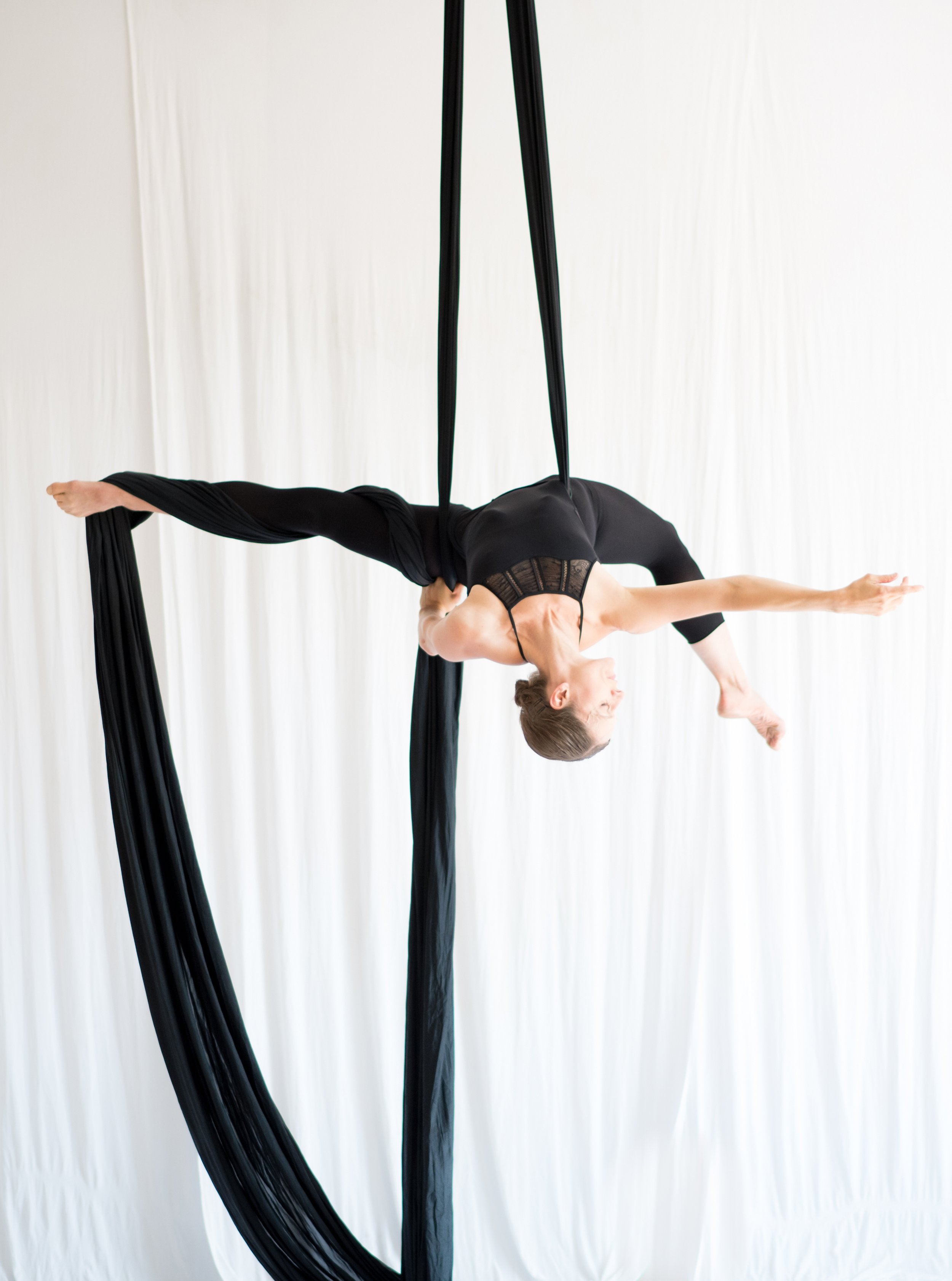 Meet the Dancers — Aerial Dance Chicago