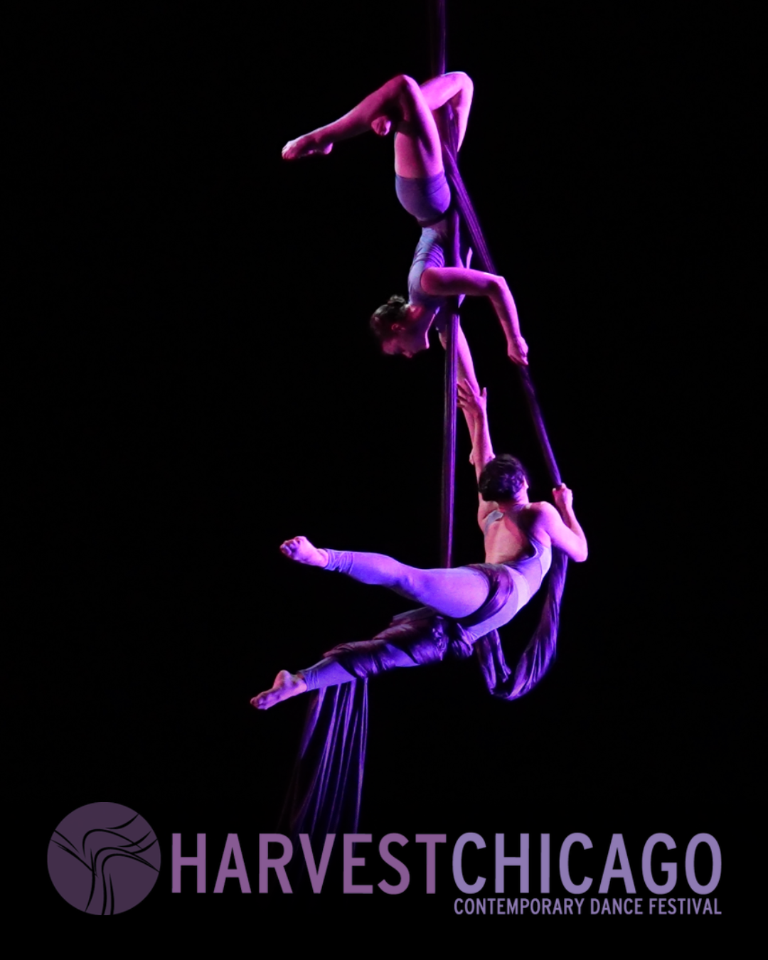 Aerial Dance Chicago