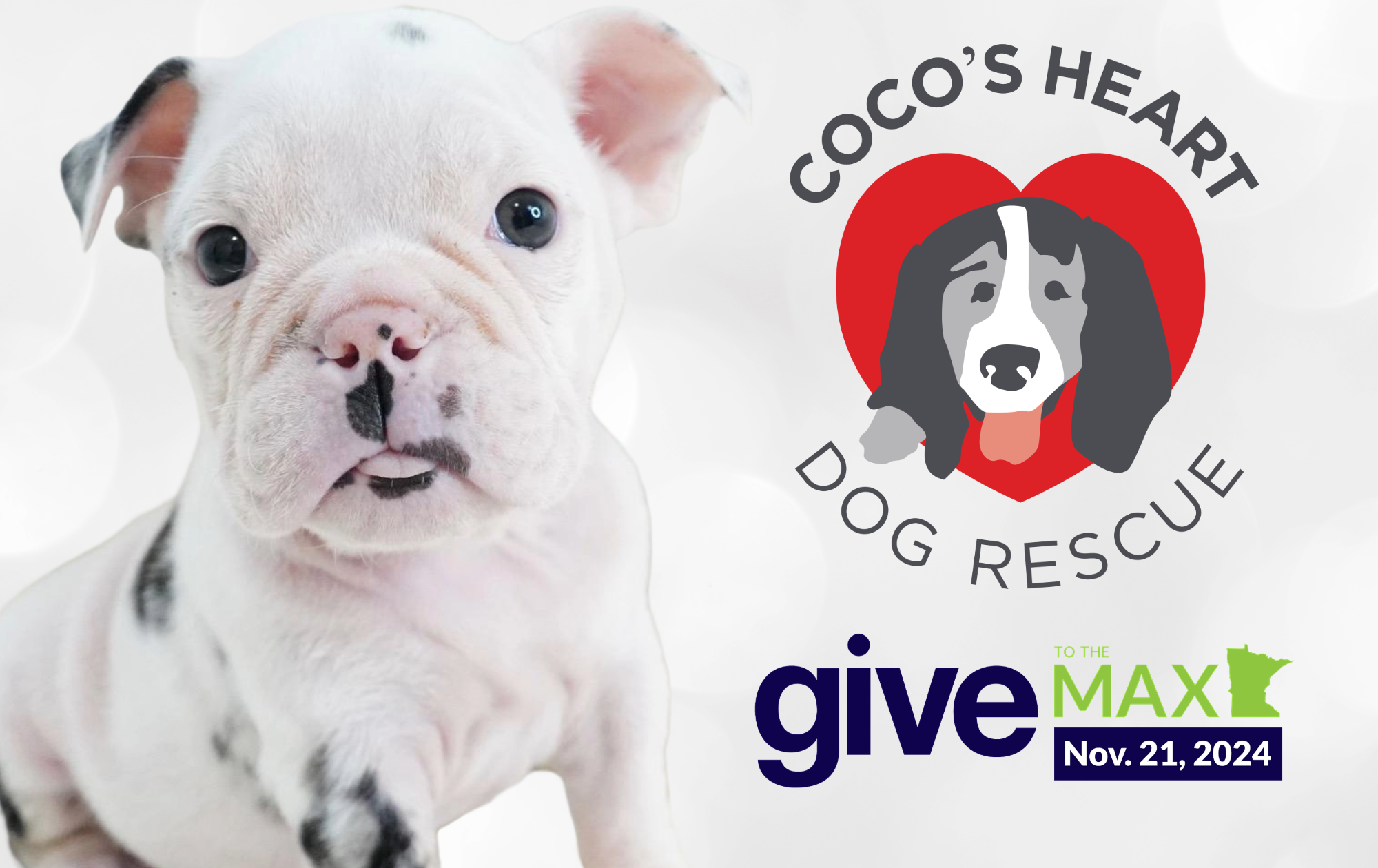 Cocos Heart Dog Rescue Hudson Wi