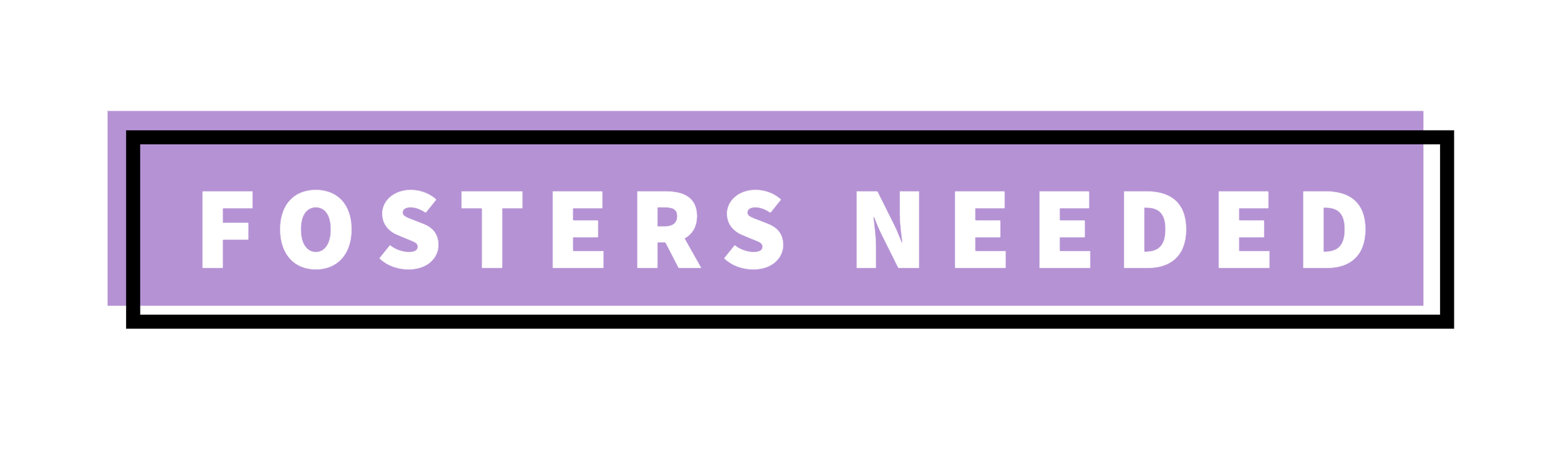 Animals Needing a Foster Home! — Coco's Heart Dog Rescue