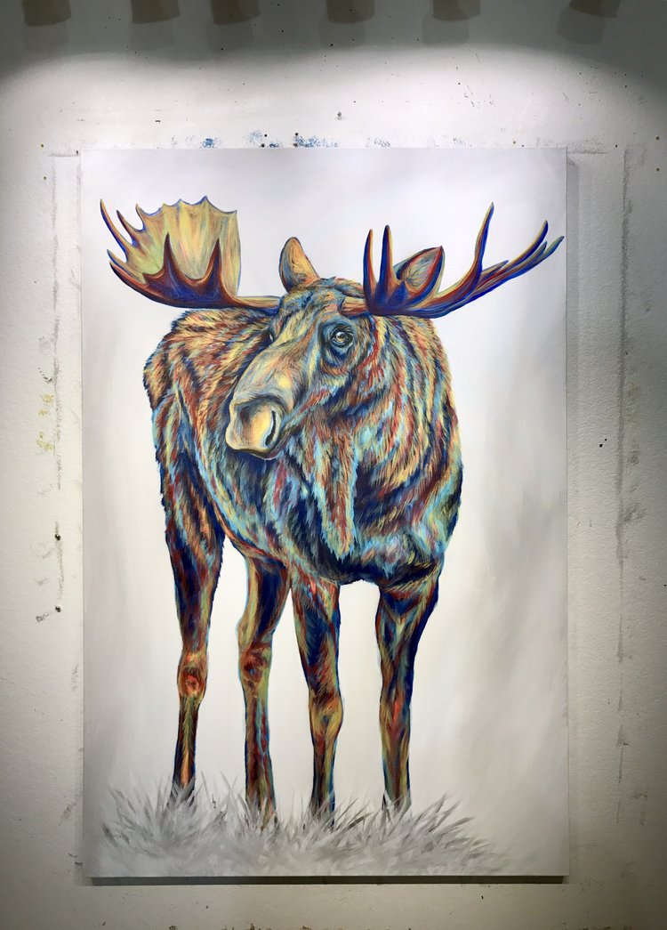 Bullwinkle – Fine Art Prints • Collection | TeshiaArt