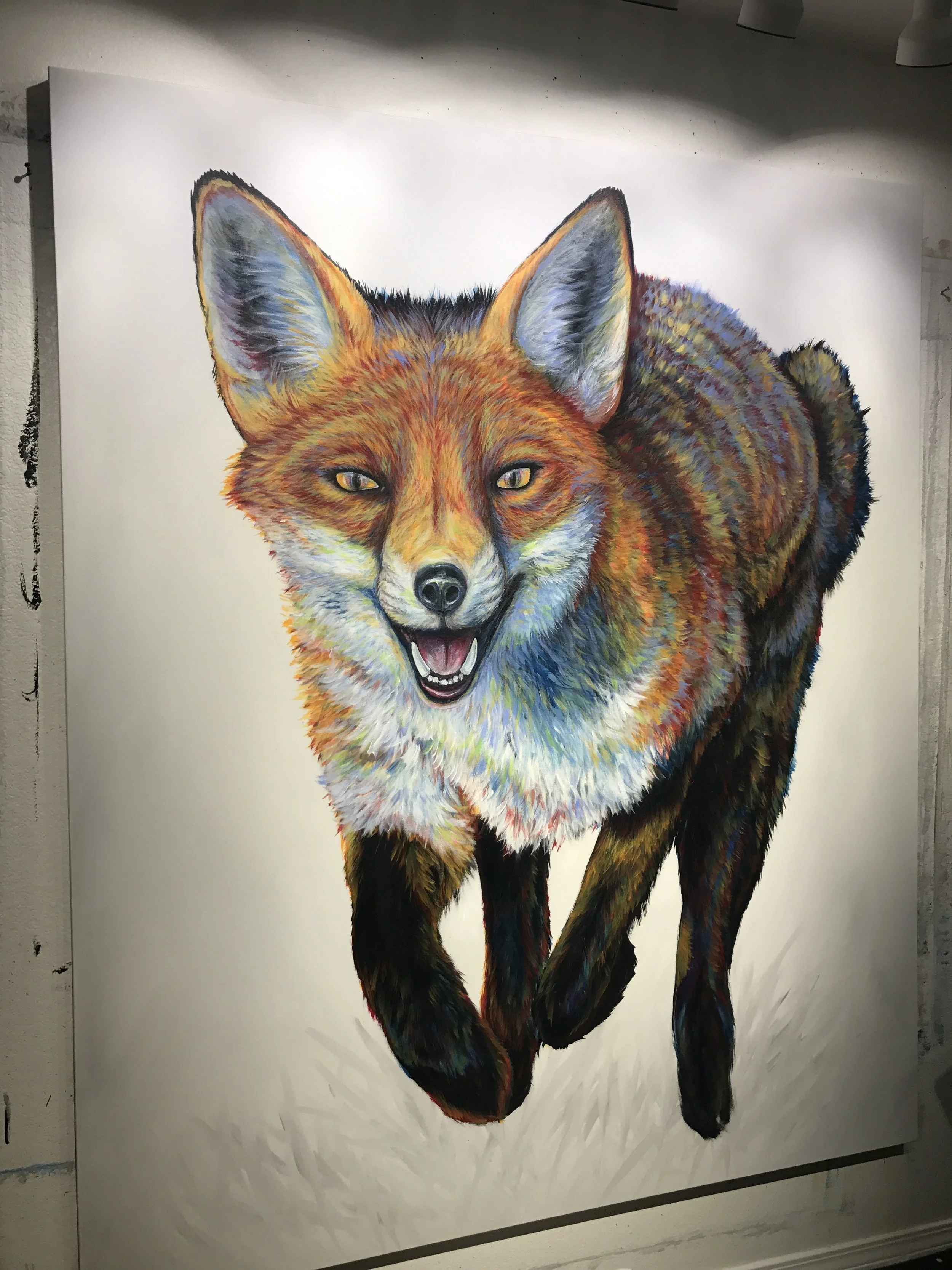 Laughing Fox – Fine Art Prints • Collection | TeshiaArt