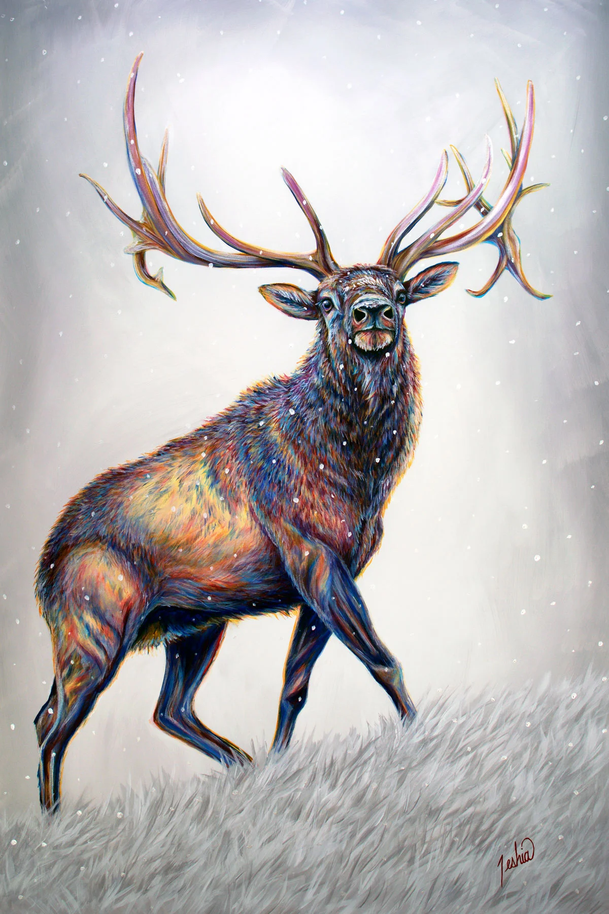 Wapiti Wonders – Fine Art Prints • Collection | TeshiaArt