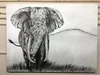 Tusker | TeshiaArt