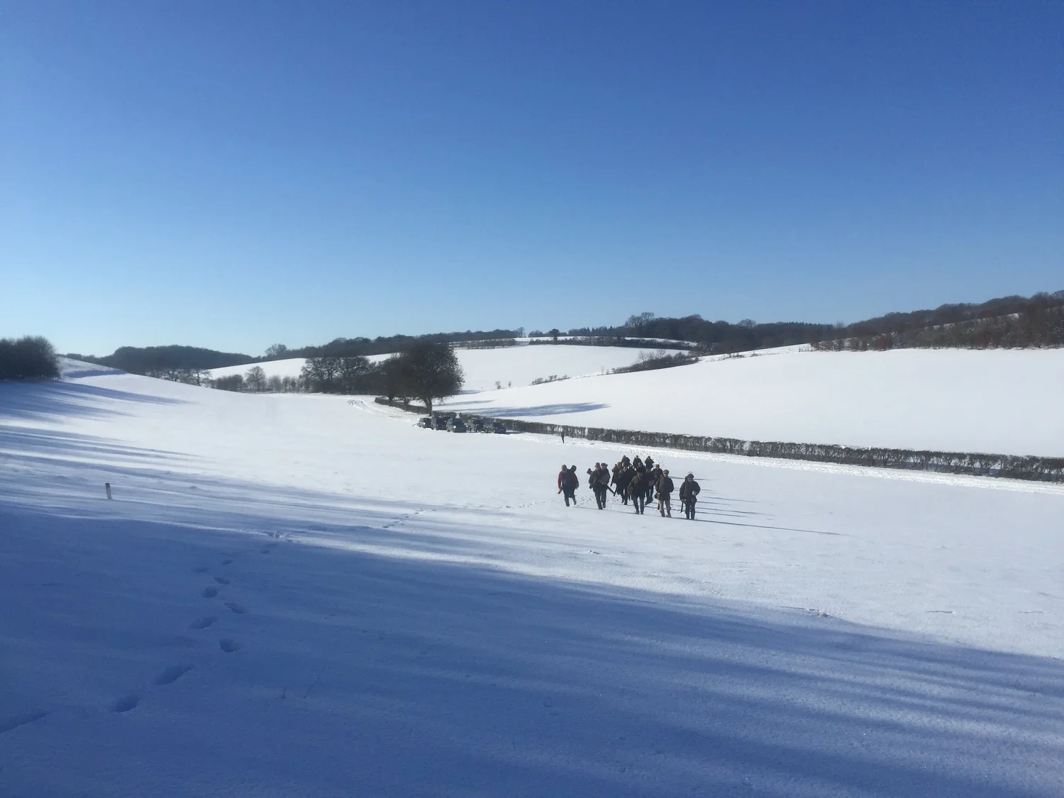 Simulated Game Days — Barbury Shooting