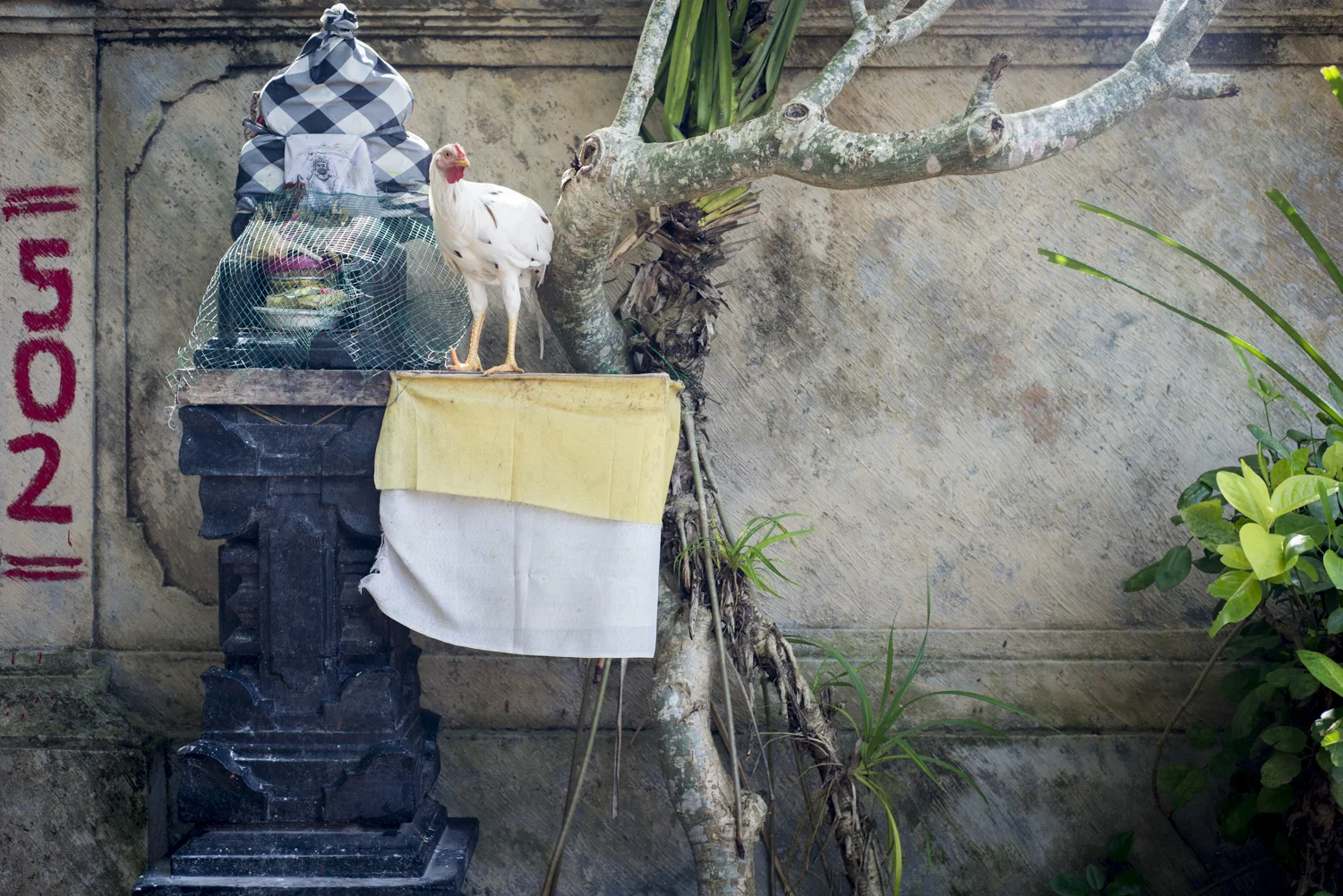 Bali - my fave places — heidi who photos