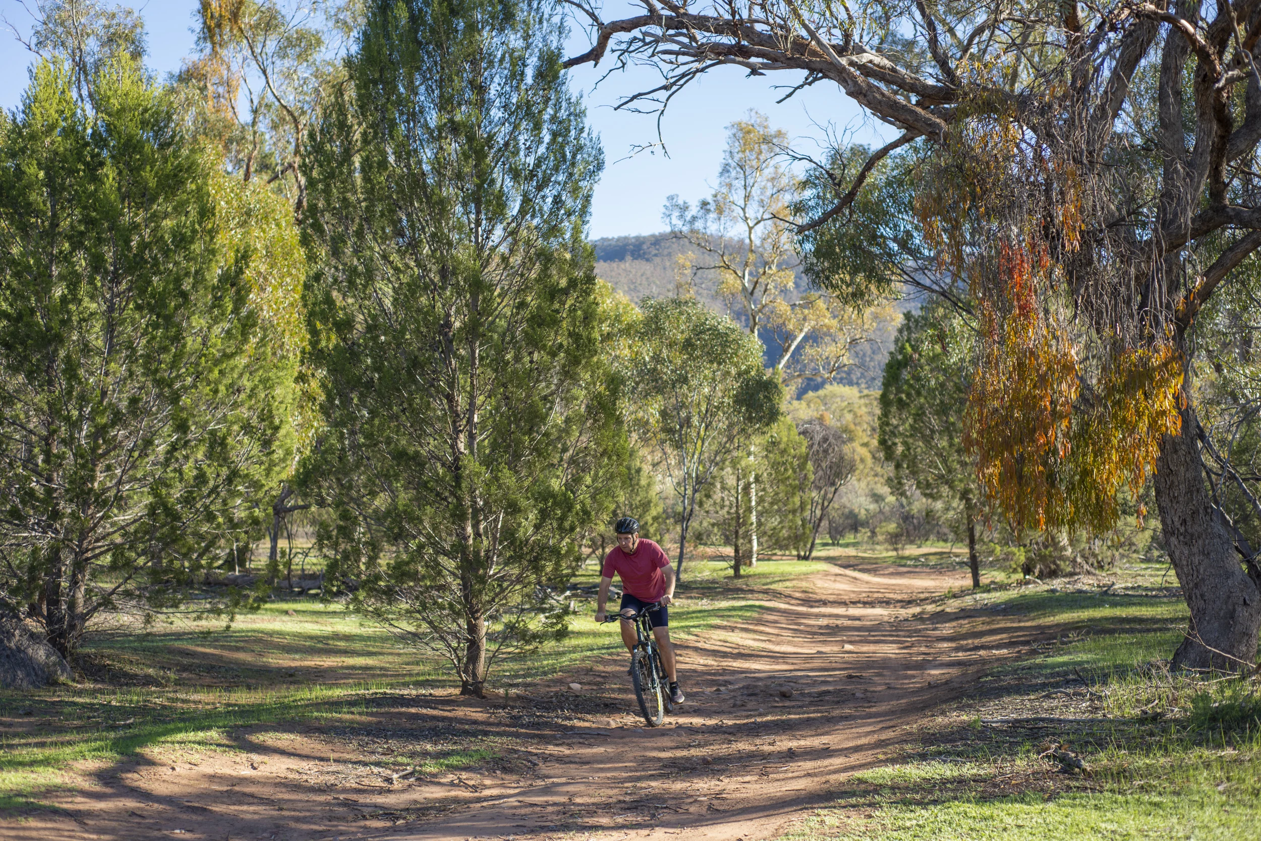 Southern Flinders Ranges — heidi who photos