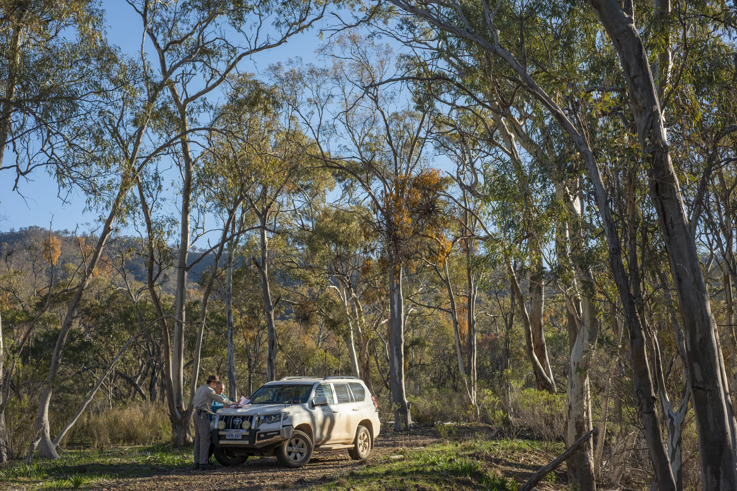 Southern Flinders Ranges — heidi who photos