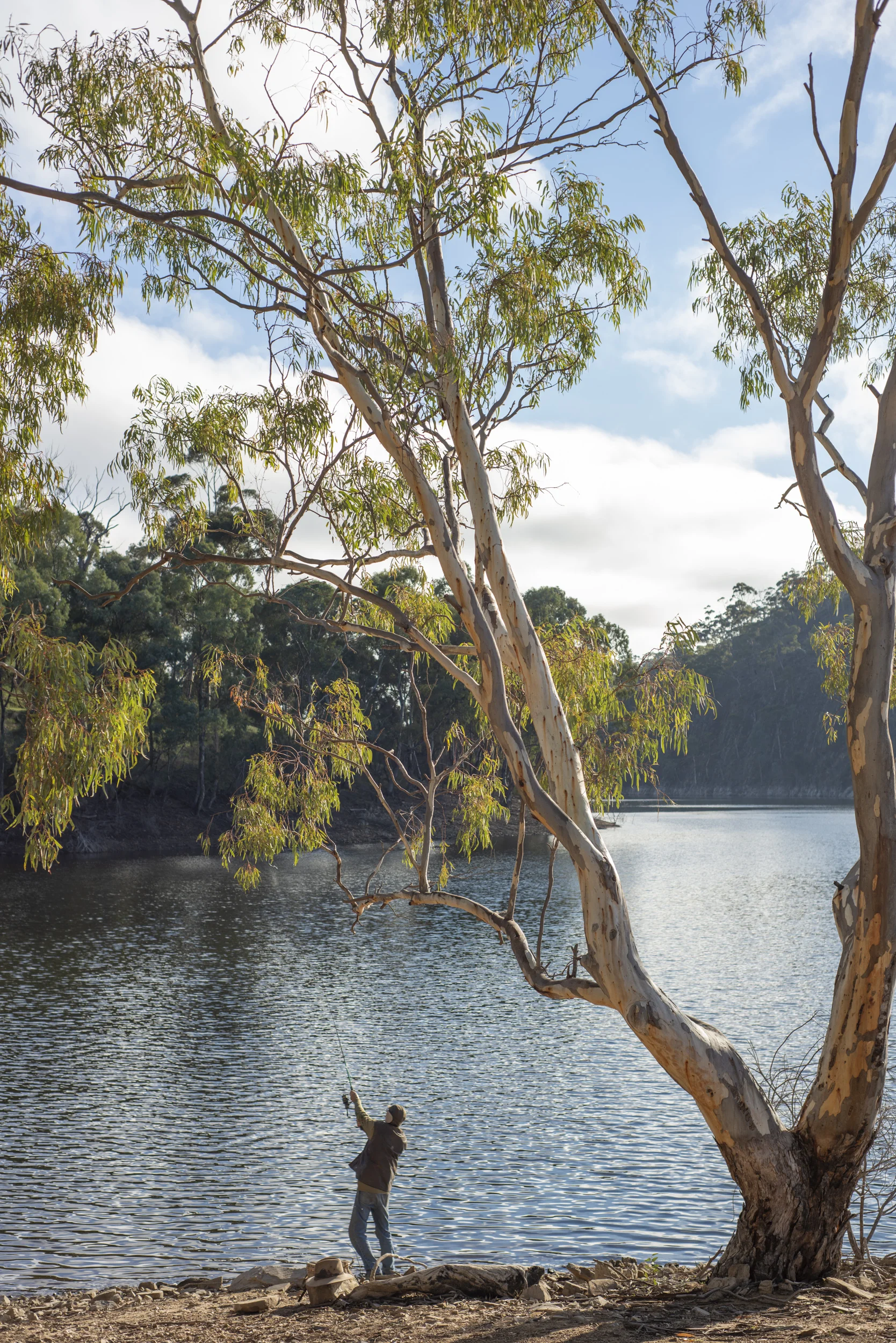 Southern Flinders Ranges — heidi who photos