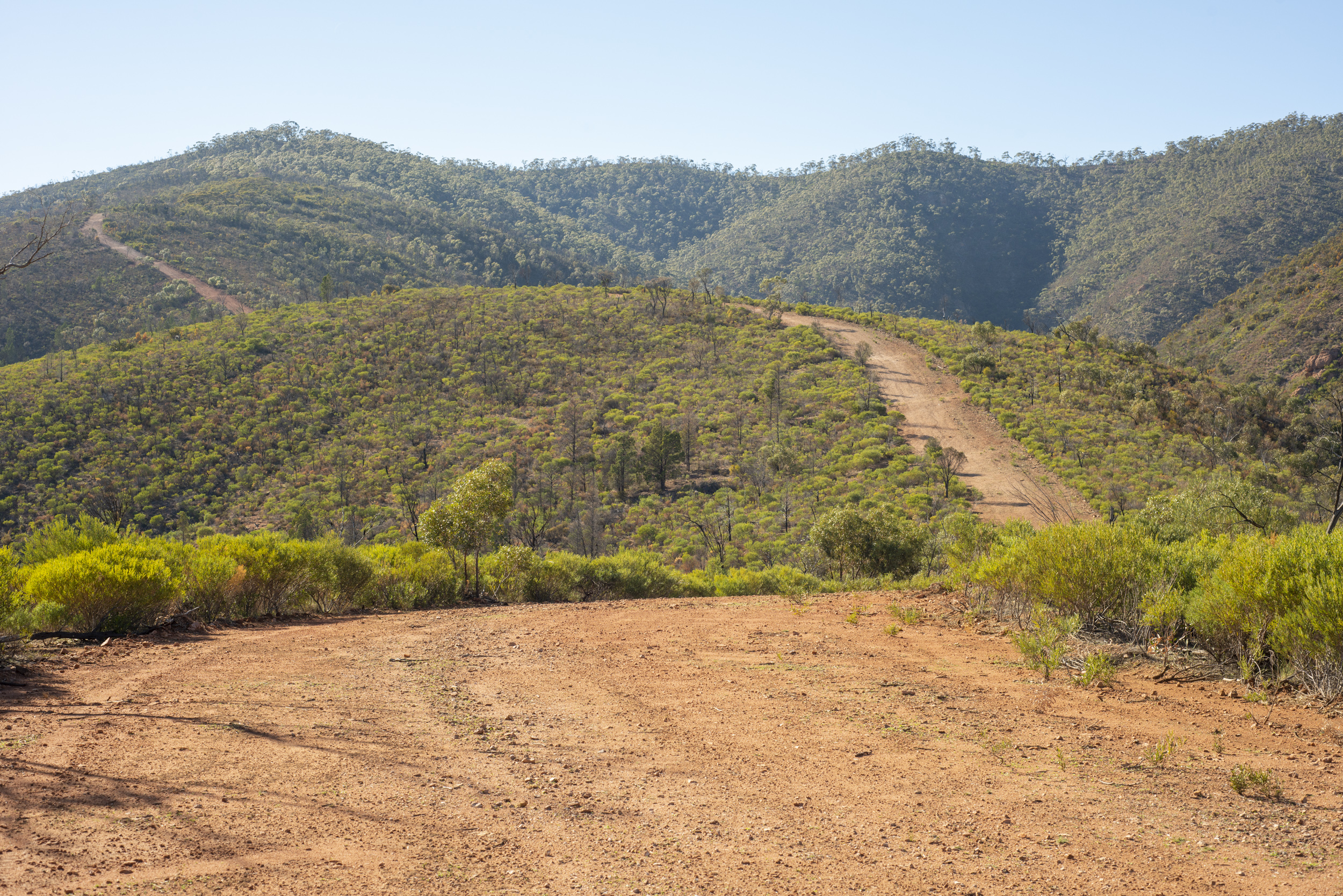 Southern Flinders Ranges — heidi who photos