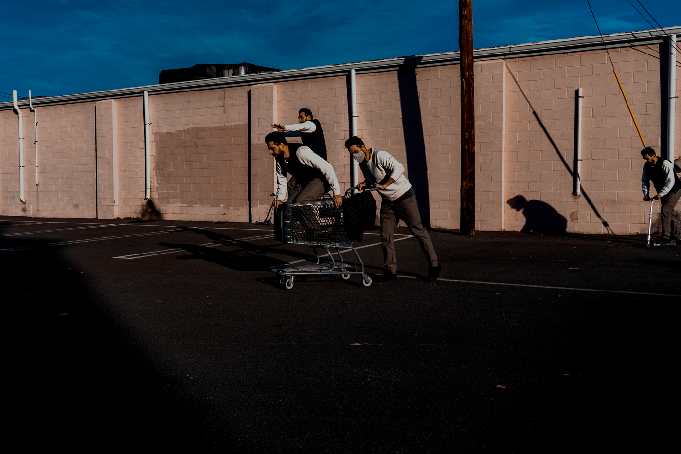 Multiplicity — Patrick Winfield