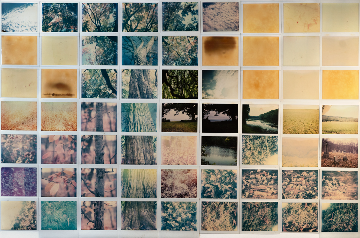 Photo Composites — PATRICK WINFIELD